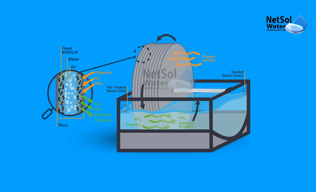 What is Sewage Treatment Plant and How does It Work