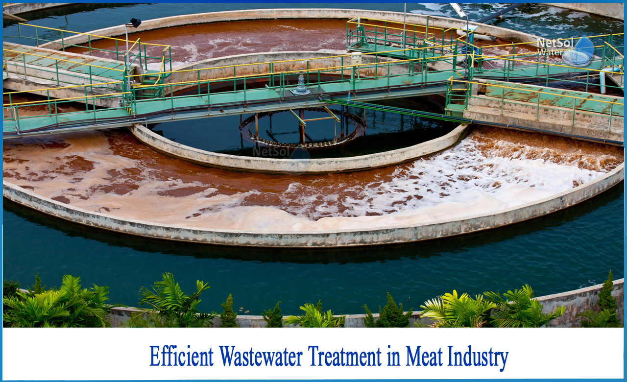 What Is The Efficient Wastewater Treatment In Meat Industry