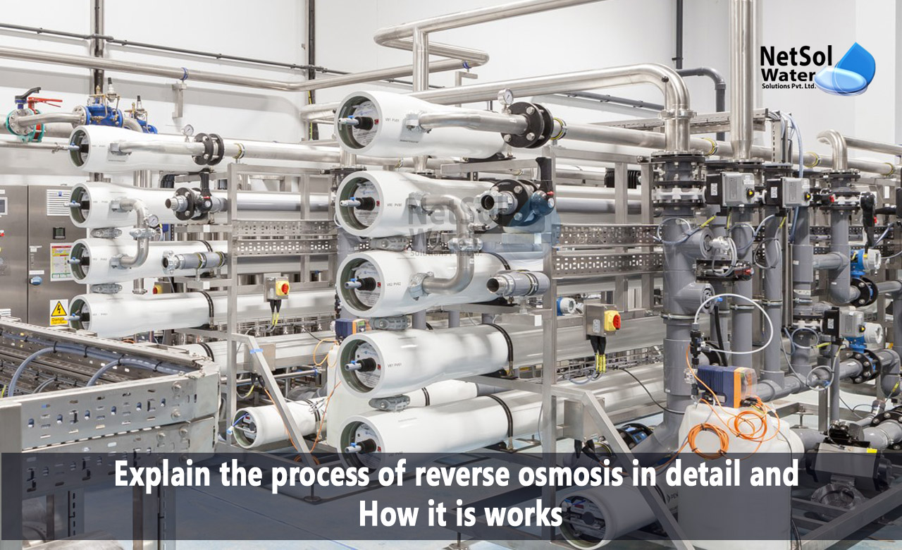 Explain The Process Of Reverse Osmosis In Detail And How It Is Works