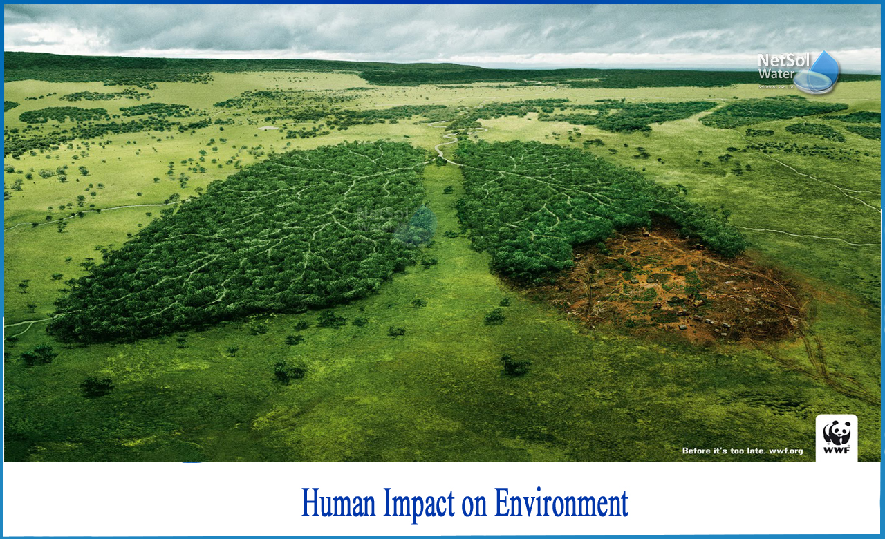 How Does Human Affect The Environment Netsol Water