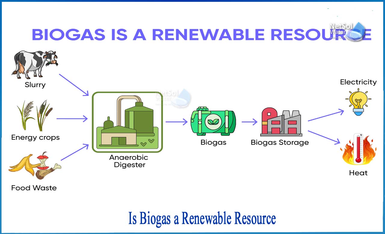 What Do You Mean By Biogas Netsol Water