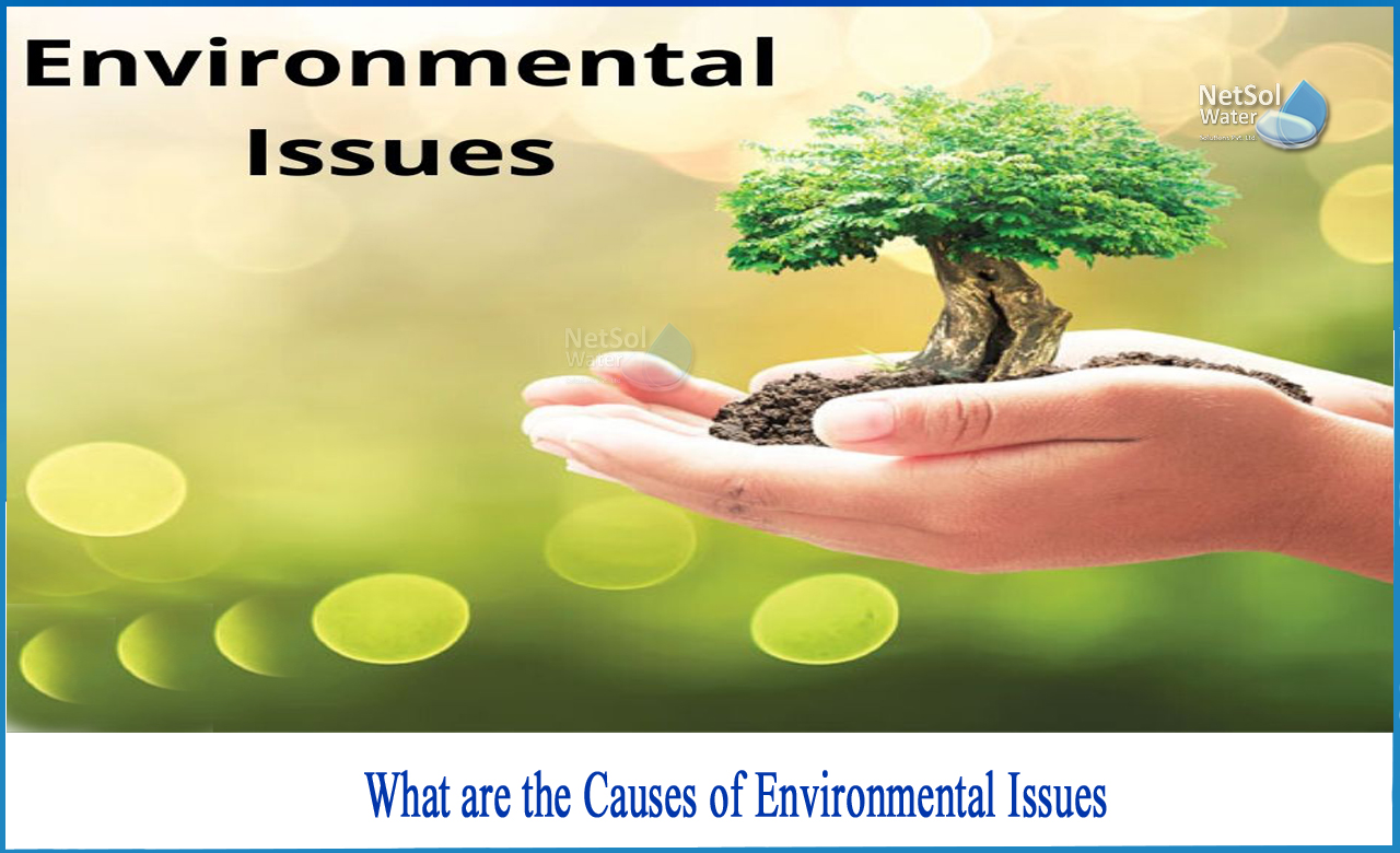 What Are The Causes Of Environmental Issues Netsol Water