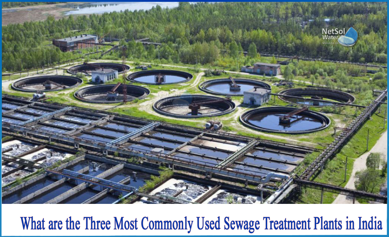 What are the three most commonly used STP in India
