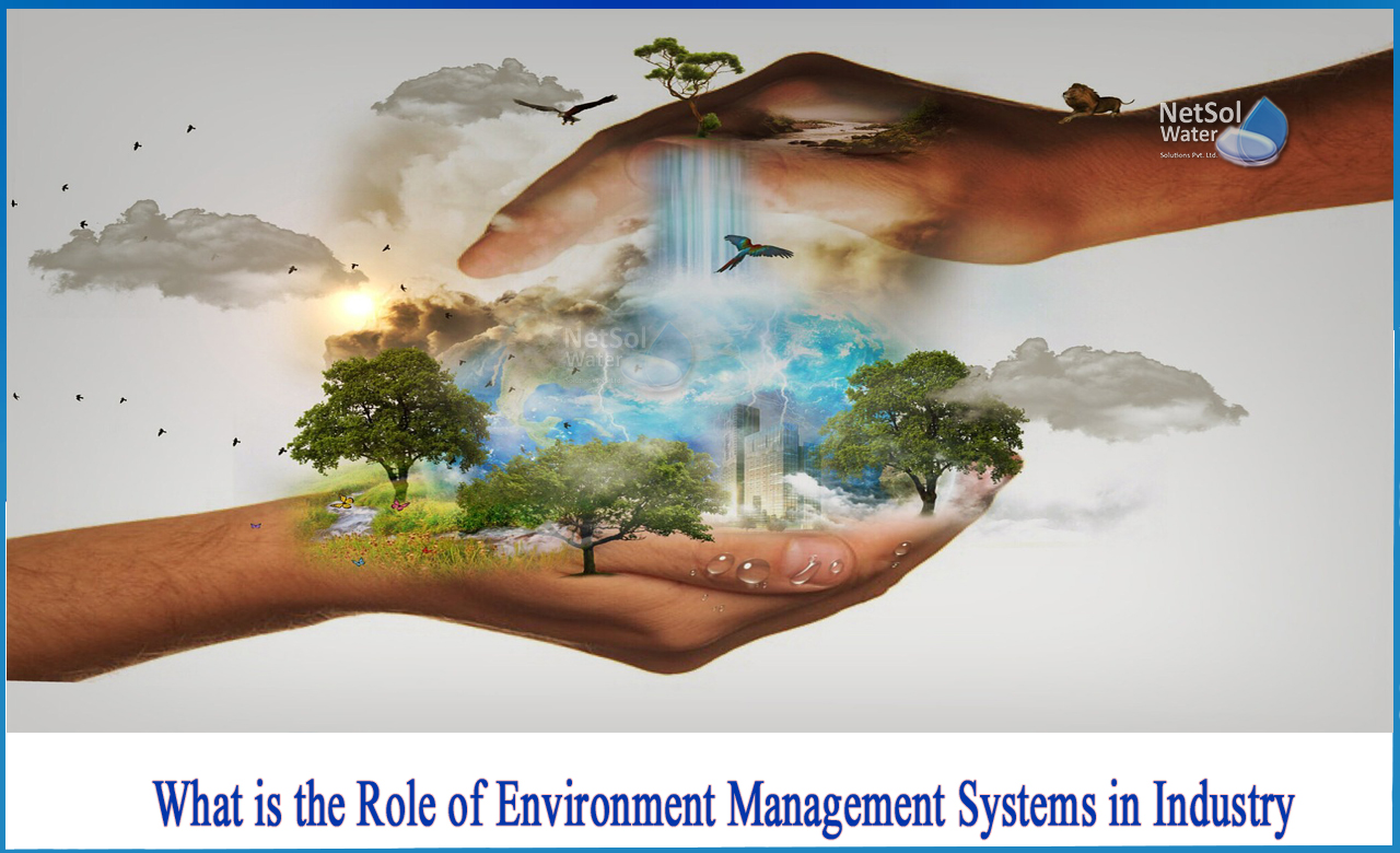 What Is The Purpose Of The Environmental Management System