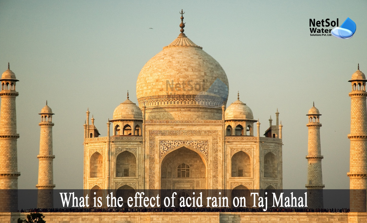 Acid Rain Effects On Humans Lungs Acid Rain Effects On Humans Lungs